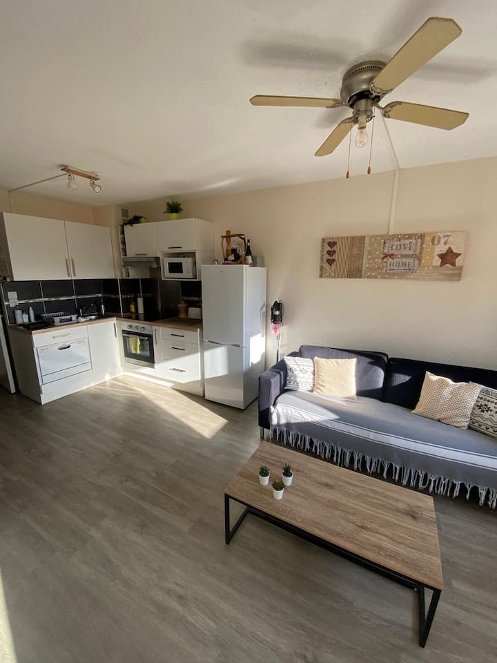 Front De Mer, Wifi, Clim, Joli Appt 4p - Le Barcarès