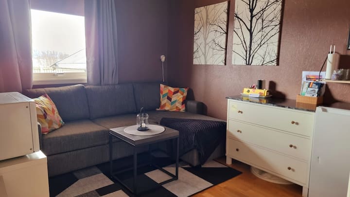 Room 2 In A Private House In Tromsø. Free Parking. - Tromsø