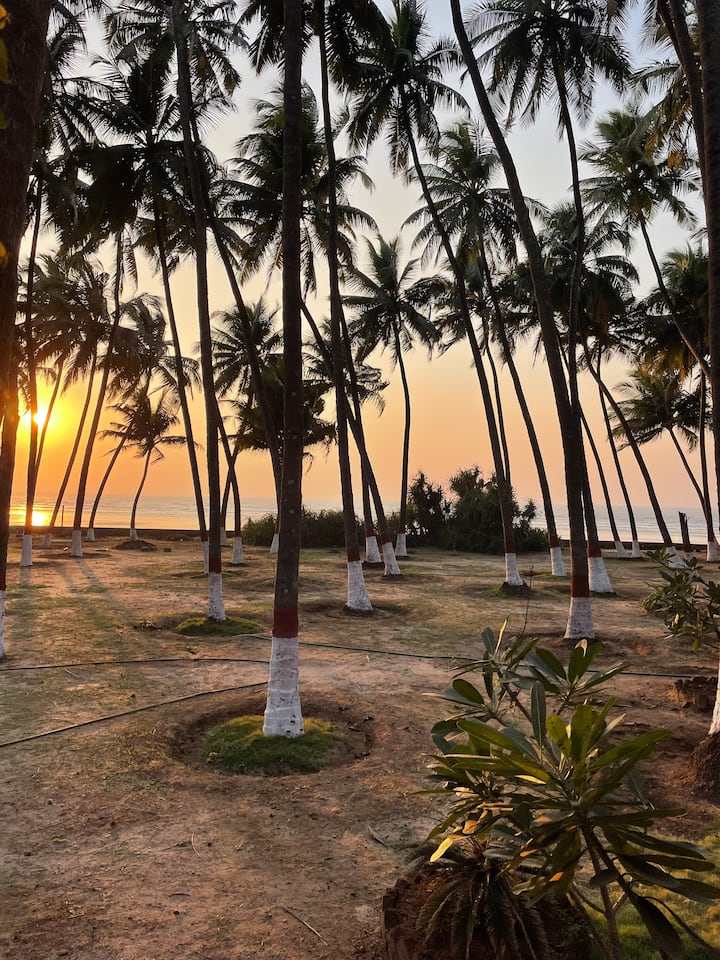 Villa Rustica, Heritage Cottage In A Coconut Grove - India