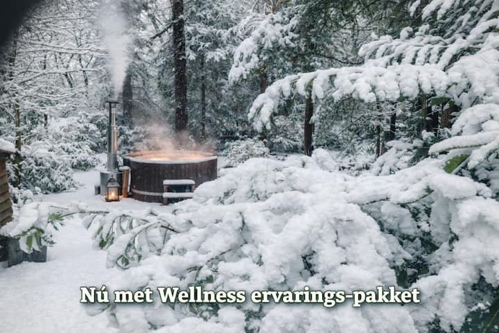 Studio Iris Op Natura2000 Bosgebied - Venray