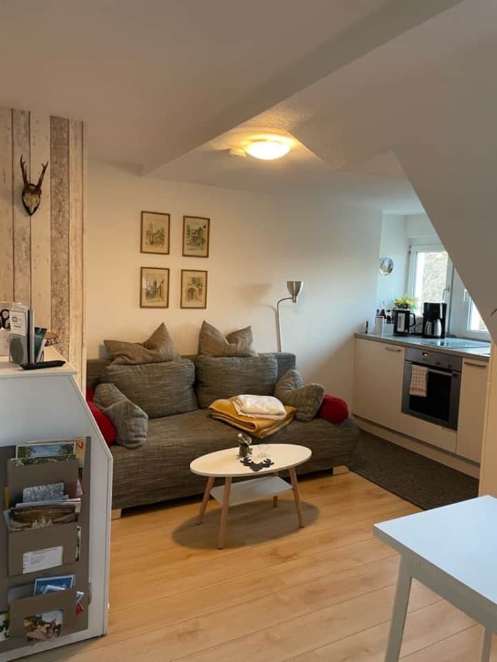 Kurztrip Nach Erfurt, Ruhig, Grün, Gemütlich - Erfurt