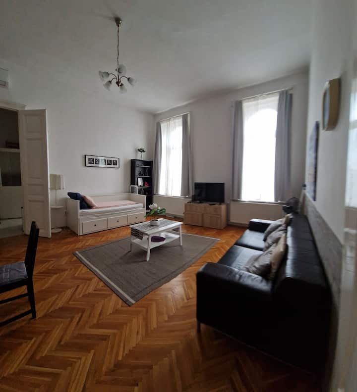 Full Screen Of The Main(deák) Squarre Of The City - Budapest