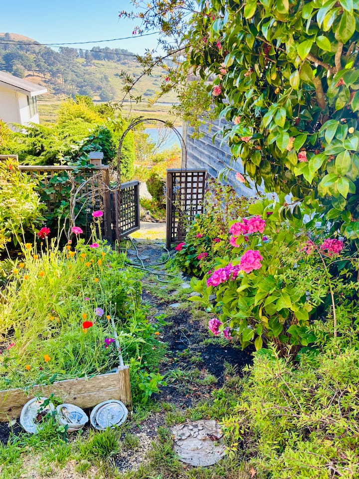 Suesea’s 
Guest Suite
Jenner, Ca - Jenner, CA