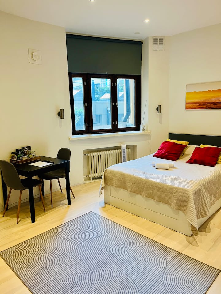 Modern Studio Central Helsinki - Helsinki