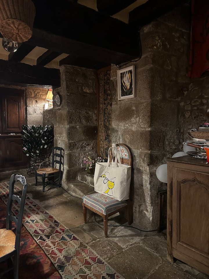 Château Du Fresne Green Room - Mayenne