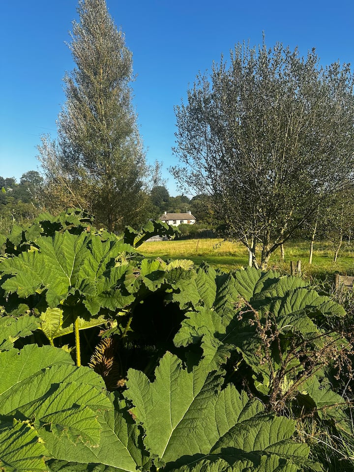 The Swan - Quiet Countryside Studio - Narberth