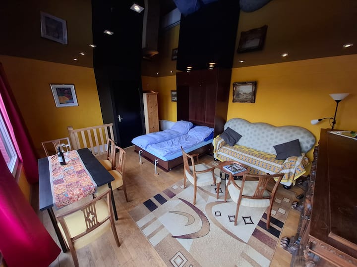 Chic Studio With Private Entrance And Roof Terrace - Venlo