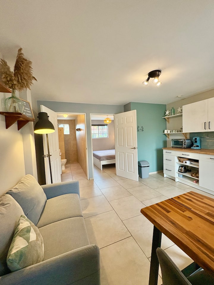 Poolside Modern, Spacious, 1 Bedroom Casita - Aruba