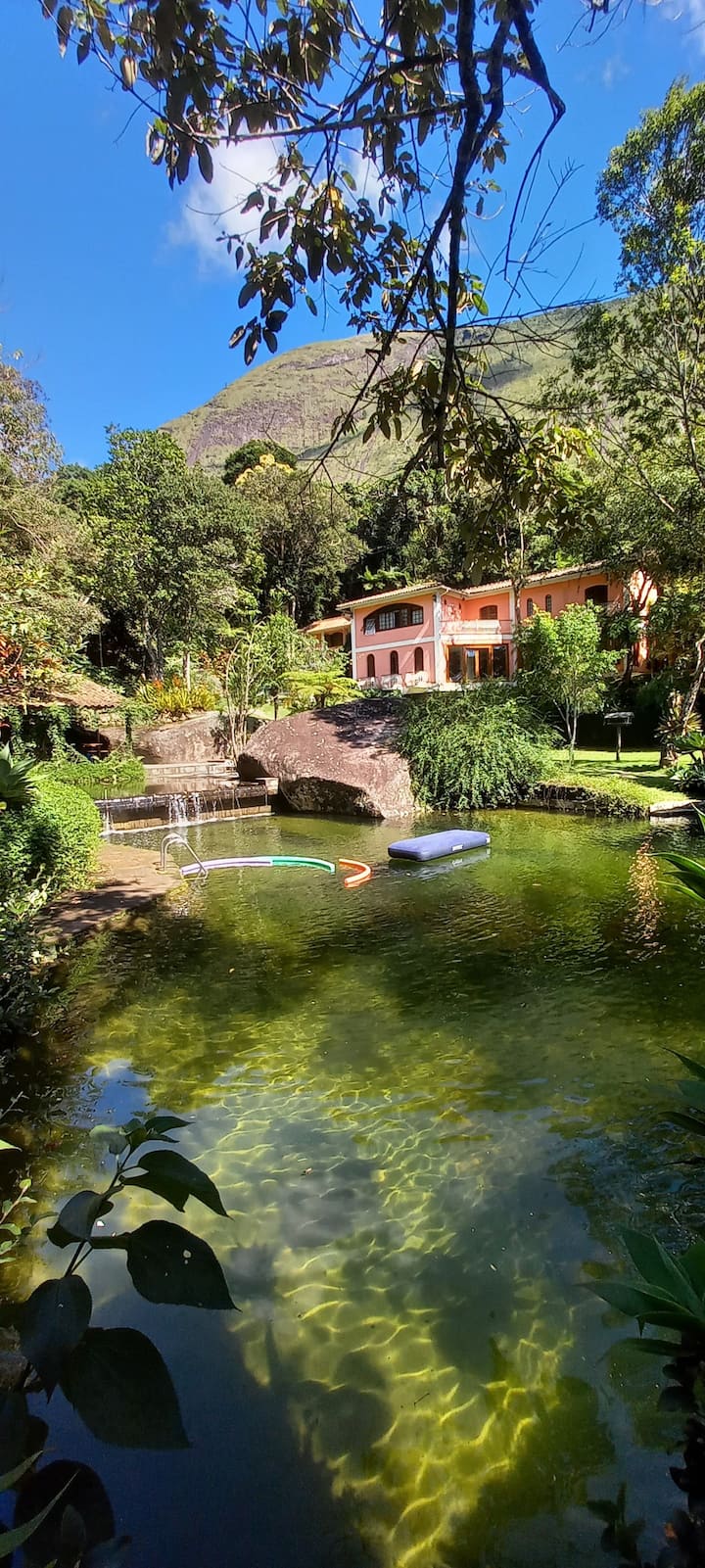Tico-tico Das Araras, Petrópolis Rj-birdwatching - Petrópolis