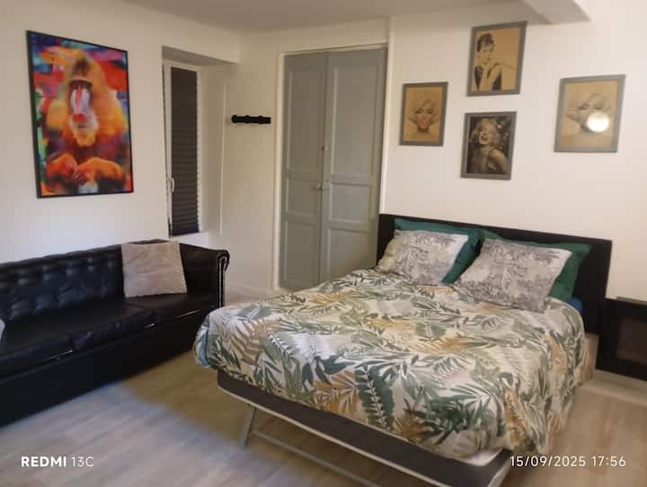 Saintes Studio Rdc  Rue Piétonne Netflix Vrai Lit - Saintes