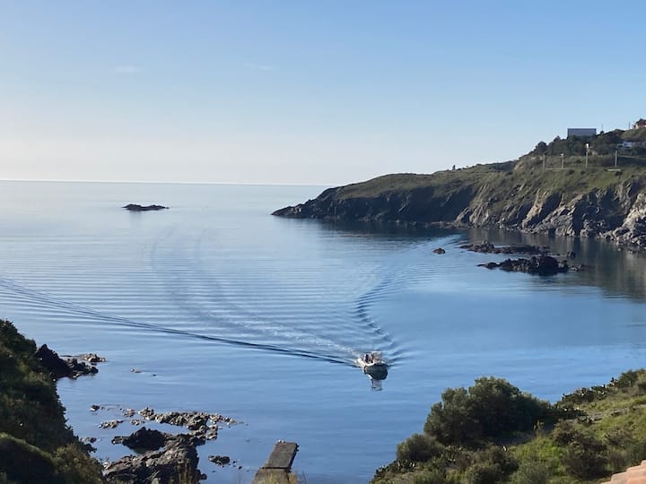 Appartement Pieds Dans L’eau - Cerbère