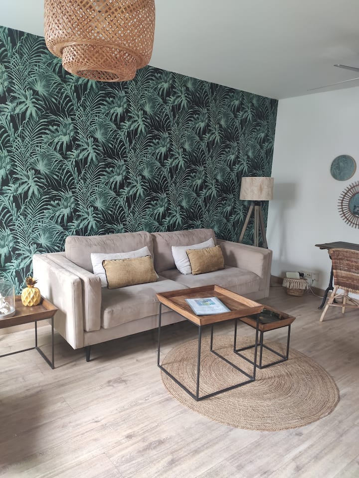 Appartement De Charme à 2 Pas Du Lagon - La Réunion