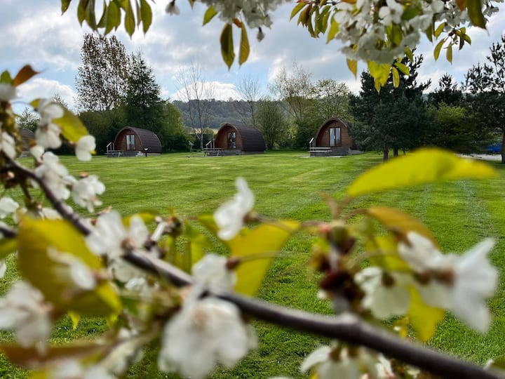 Pet Free Glamping Pods, Thirsk, North Yorkshire - Thirsk