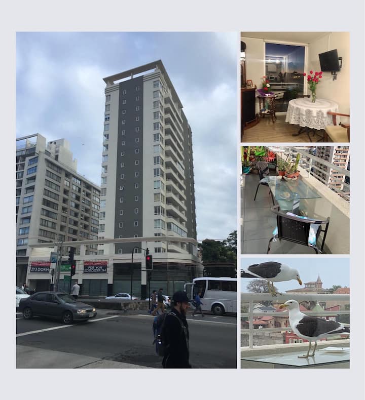 Viña Del Mar Piscina Playa :Reloj De Flores 2026 - Valparaíso, Chile