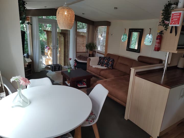 Chalet Met Veranda Aan Bosrand - Drenthe