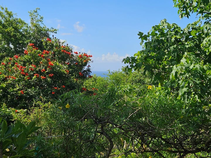 Happy Lodge - Marie-Galante