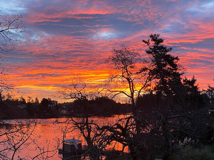 Fantastique Demeure Au Bord De La Mer - Vancouver Island