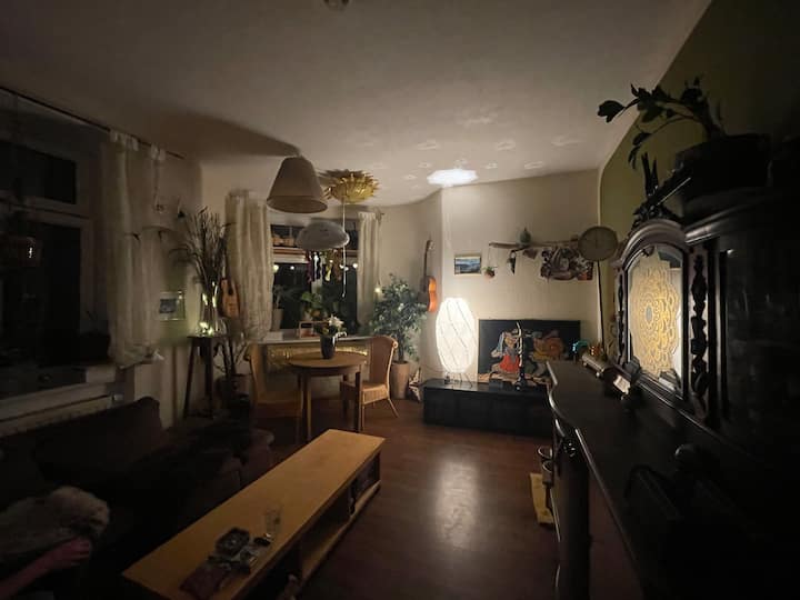 Cosy Antik Style Apartment - Dresden