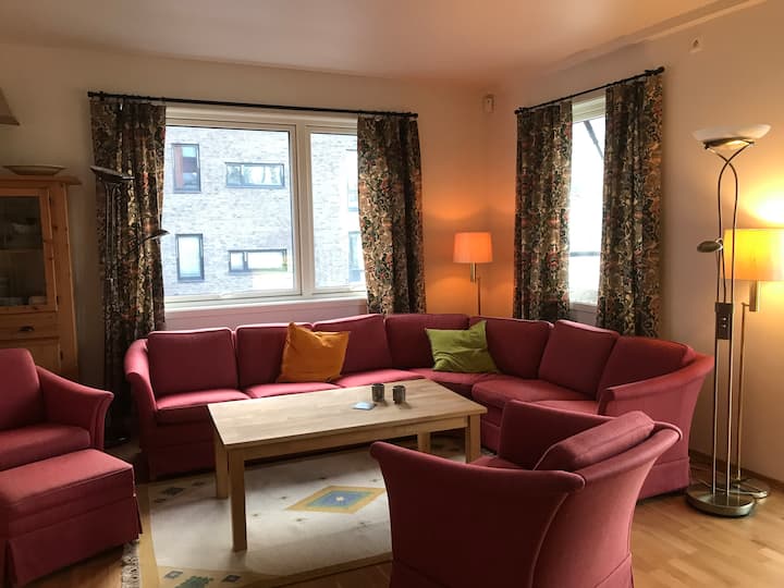 Stort, Moderne, Sentralt Med Parkering - 奧斯陸
