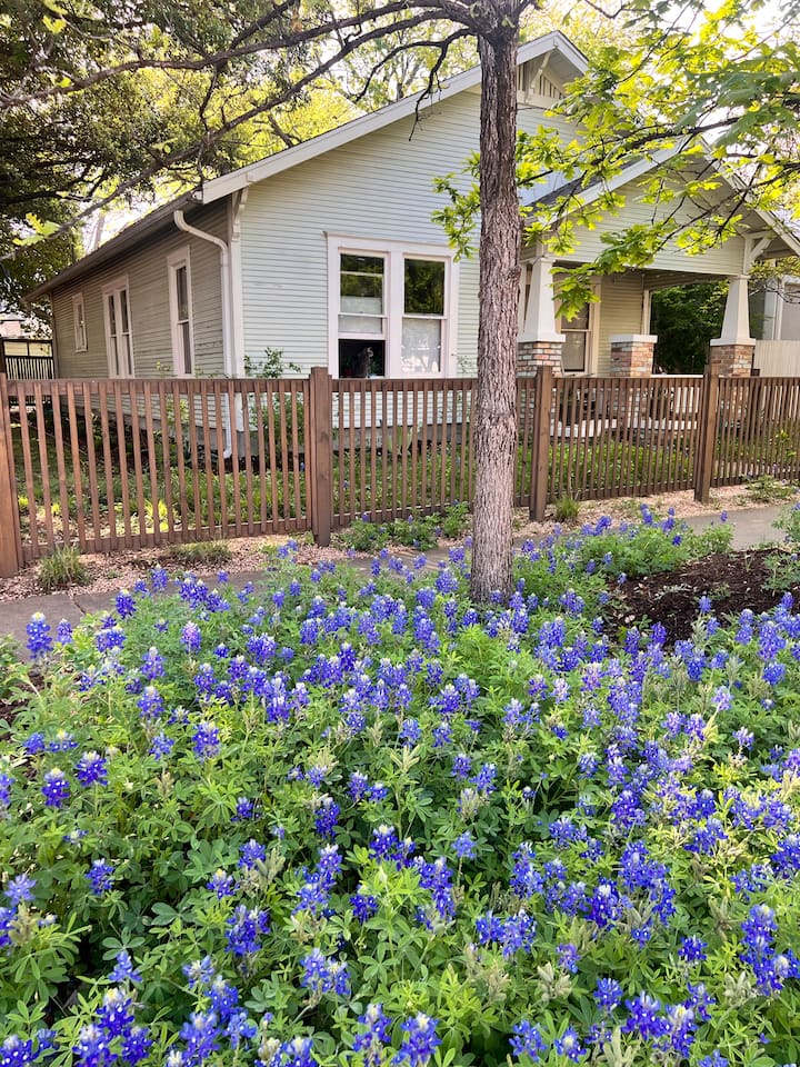 1911 Historic Hyde Park Cottage - Northwest Hills - Austin