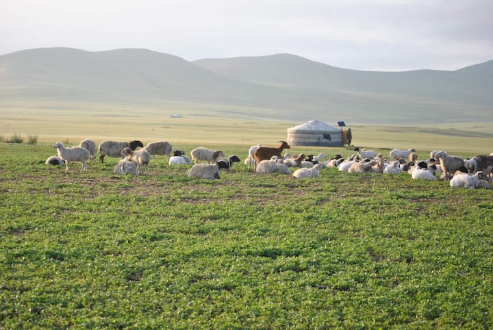 Nomad Family Near Khustai National Park - Mongolia