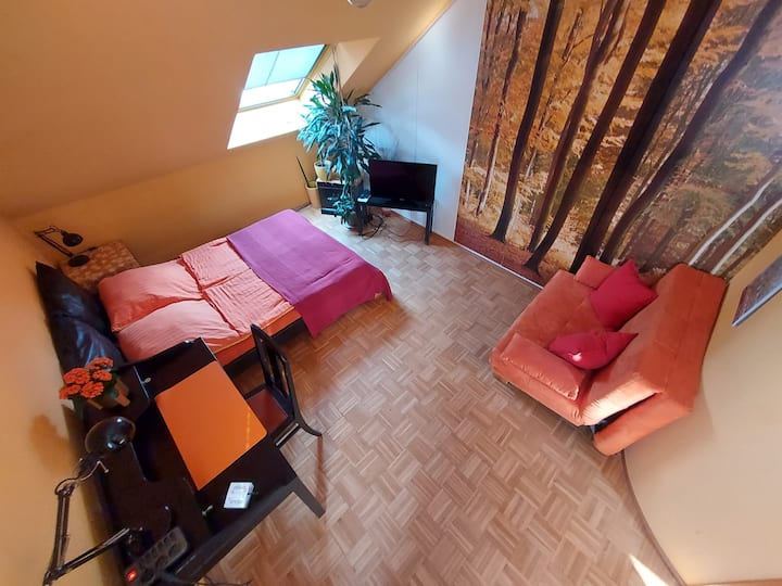 Bright, Modern And Cozy Two-room Apartment - Düsseldorf