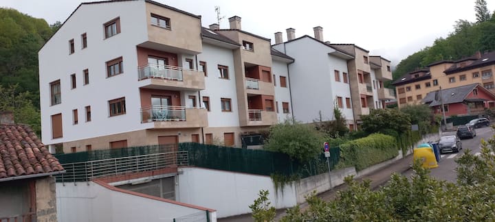 Coqueto Apartamento Seminuevo - Cangas de Onís