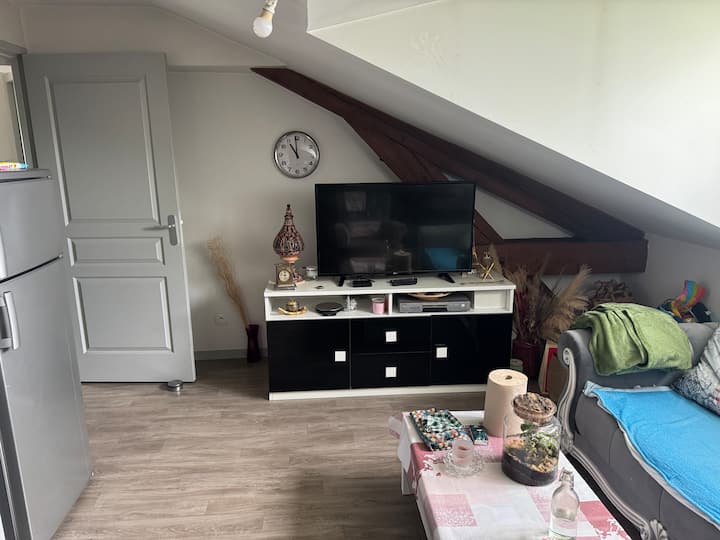 Séjour Zen – Chambre Privée Dans Appart Au Calme - Lyon