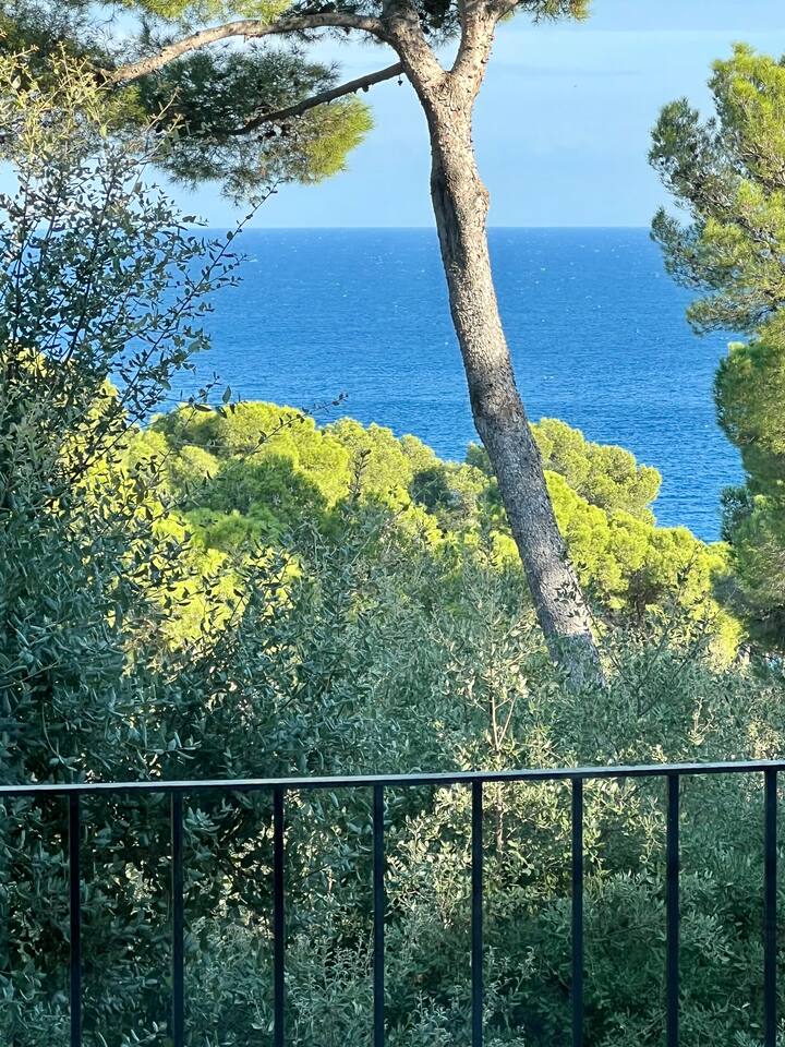 Imagine Vistas Al Mar En Calella De Palafrugell - Palafrugell
