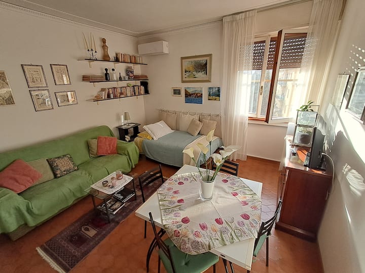 Daluca, Accogliente Appartamento Vicino Al Centro - 比薩