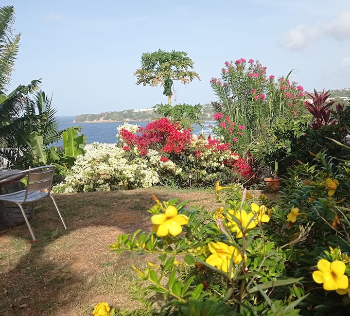 Le Touloulou, Studio Tranquille - Martinique