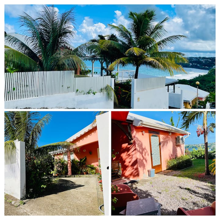 Le Touloulou, Studio Tranquille - Martinique
