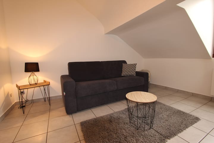 Idéal Petit Budget + Parking Gratuit + Wifi - Annecy
