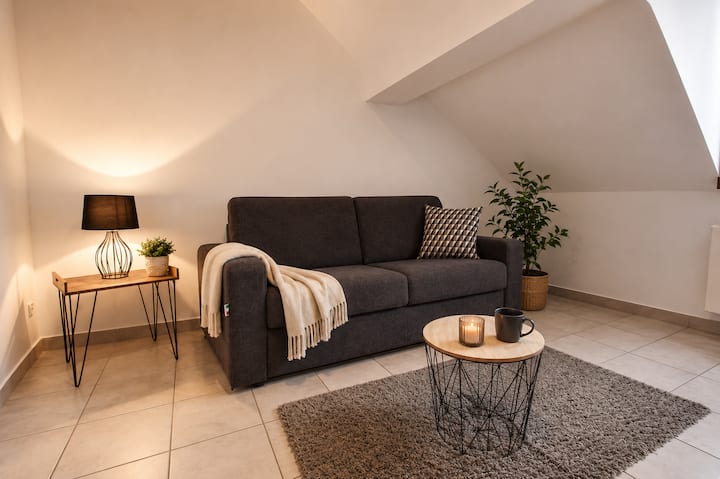 Idéal Petit Budget + Parking Gratuit + Wifi - Annecy