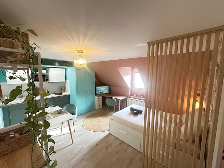 Studio Centre Orléans• Parking Facile • Bord Loire - Orleans