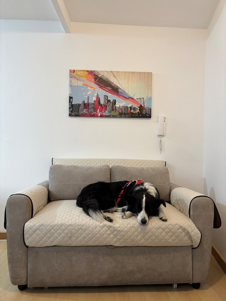 Acogedor, Pet Friendly - Bogotà