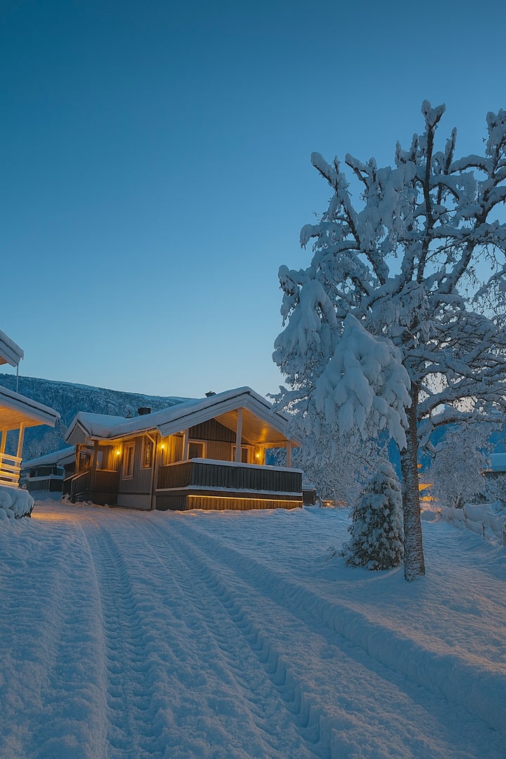 Traditional House Near Arctic Cathedral/cabelcar - Tromsø