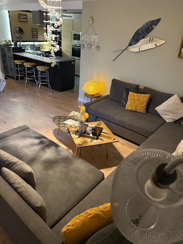 A 20mn Lille, Lens | Maison Avec Pkg Et Jardin - Merville