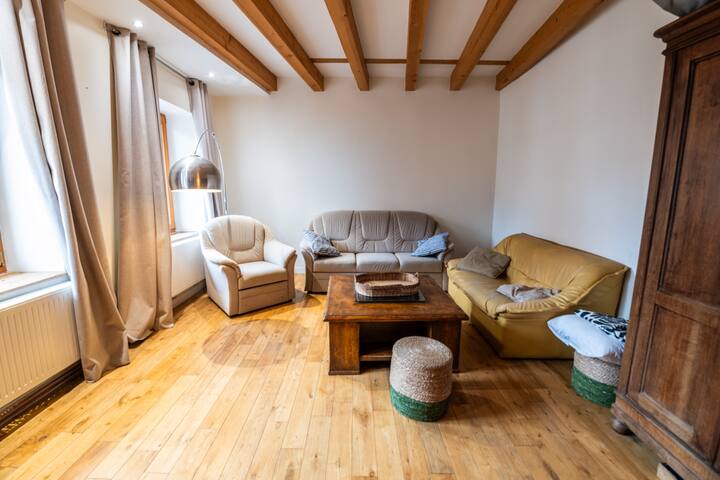 Loft 350m² & Spa : Idéal Familles Ou Séminaires - Obernai