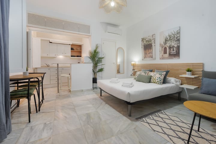 Exclusive Apartment In Seville Center. Alameda Ii - Seville