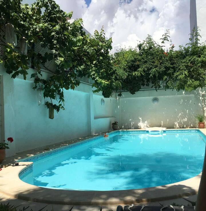 Villa Style Sidi Bou Said Avec Piscine - Tunisia