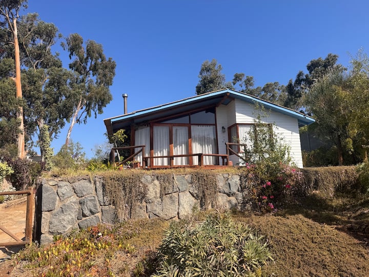 Escápate A Papudo Cerca Del Mar - Papudo