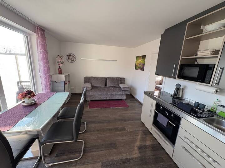 Sonnendurchflutete Apartment (Ap.1), Bis 4 Pers. - Dachau