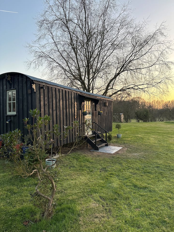 Buckhurst Luxury Kent Shepherds Hut With Breakfast - Dymchurch