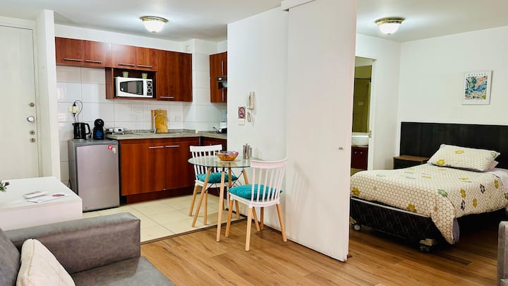 Prestige Private Apartment 1 Room 2 Beds A/c Wifi - Santiago