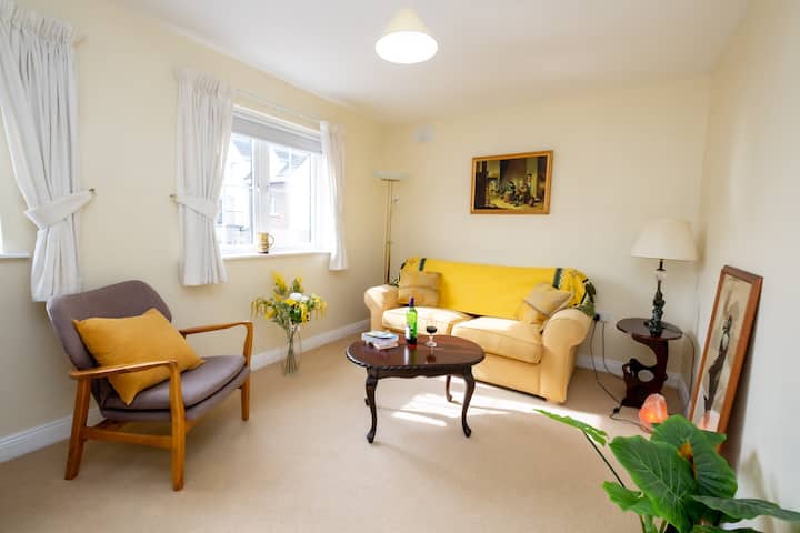 Townhouse In The Heart Of Ennis, Co. Clare - Ennis