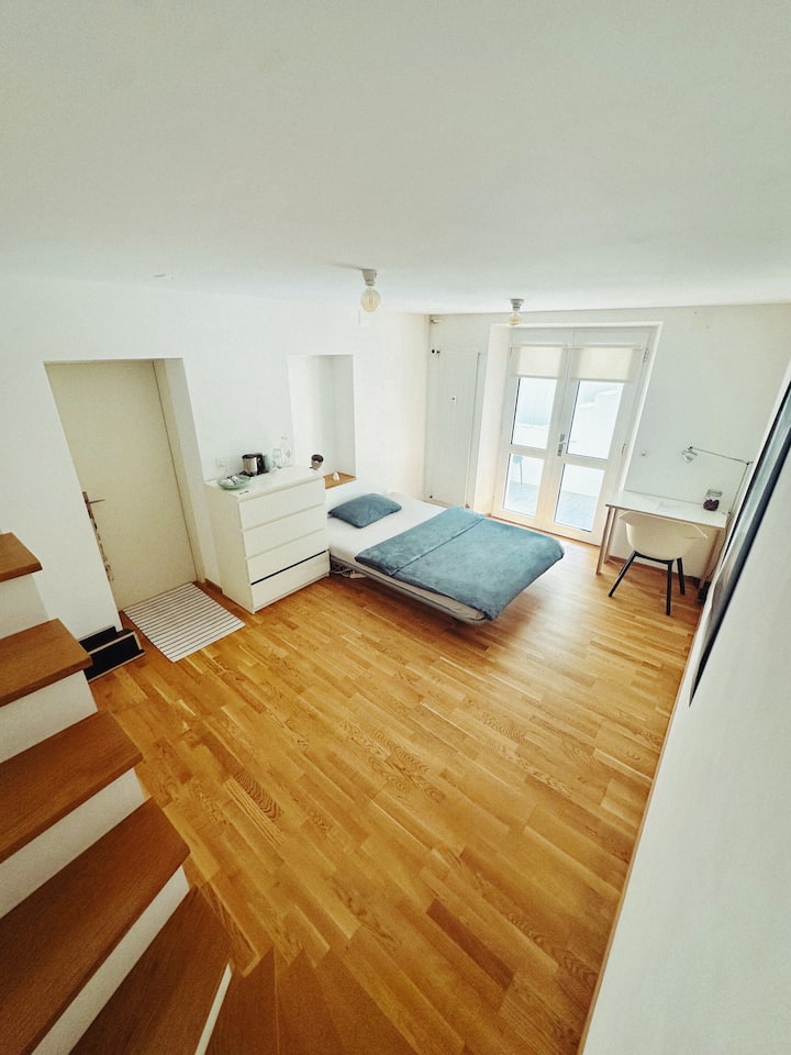 M81 | Bright Basement Studio W/ Private Bathroom - Bâle