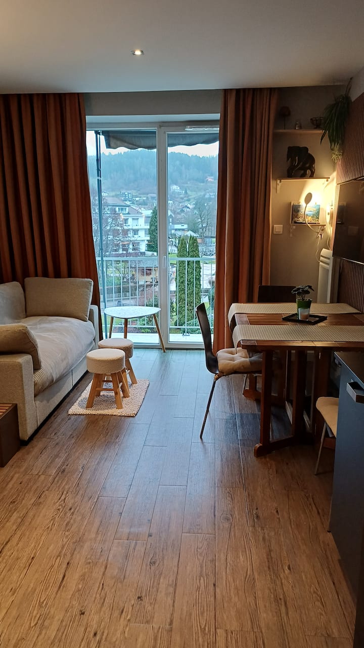Bel Appartement Avec Balcon Au Pied Au Lac/ville - Gérardmer