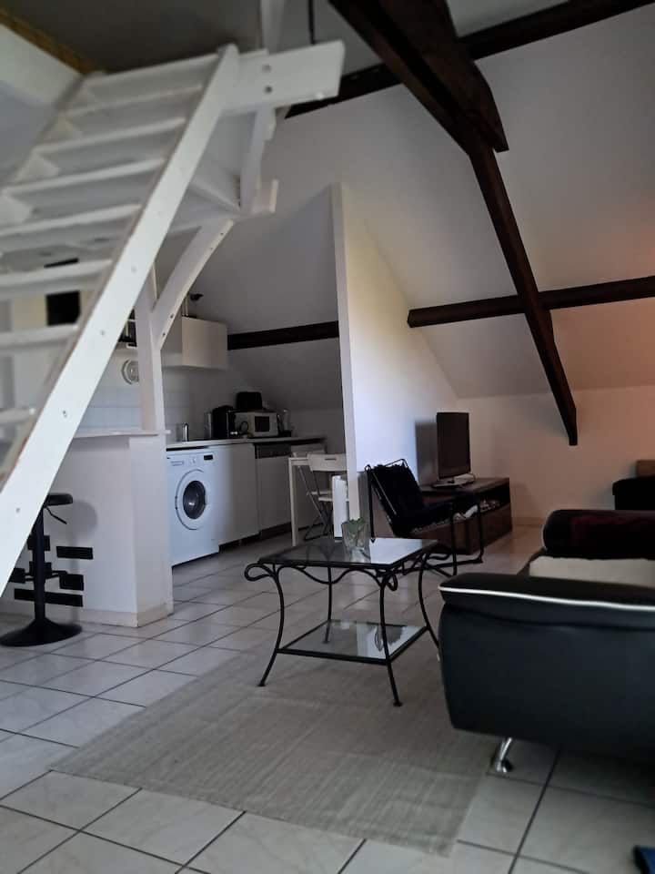 Appartement Cosy Disneyland Paris - Bailly-Romainvilliers