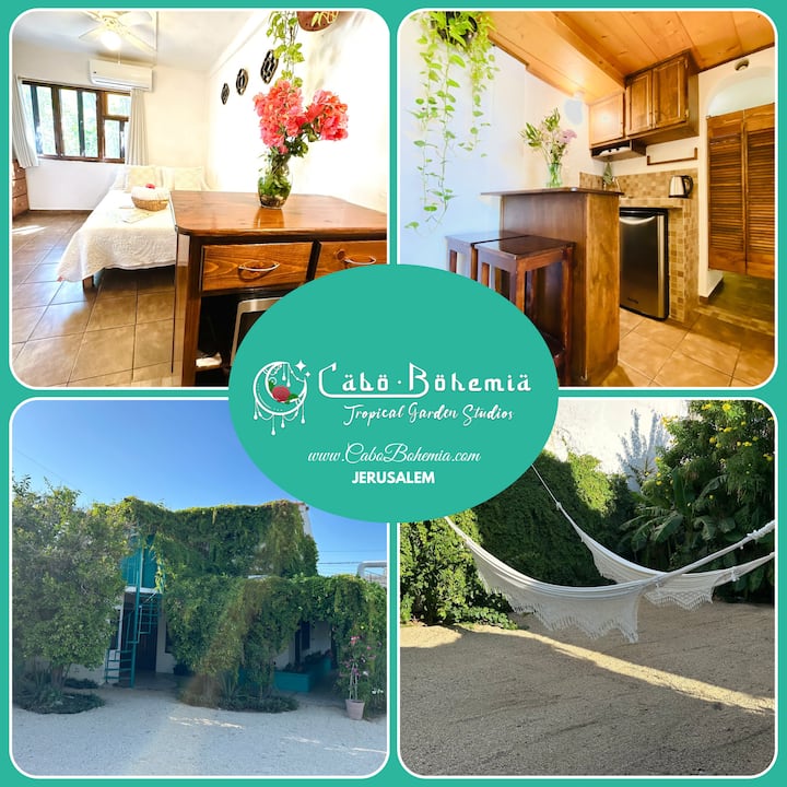 Downtown Tropical Oasis – 5 Min Walk To The Marina - Cabo San Lucas